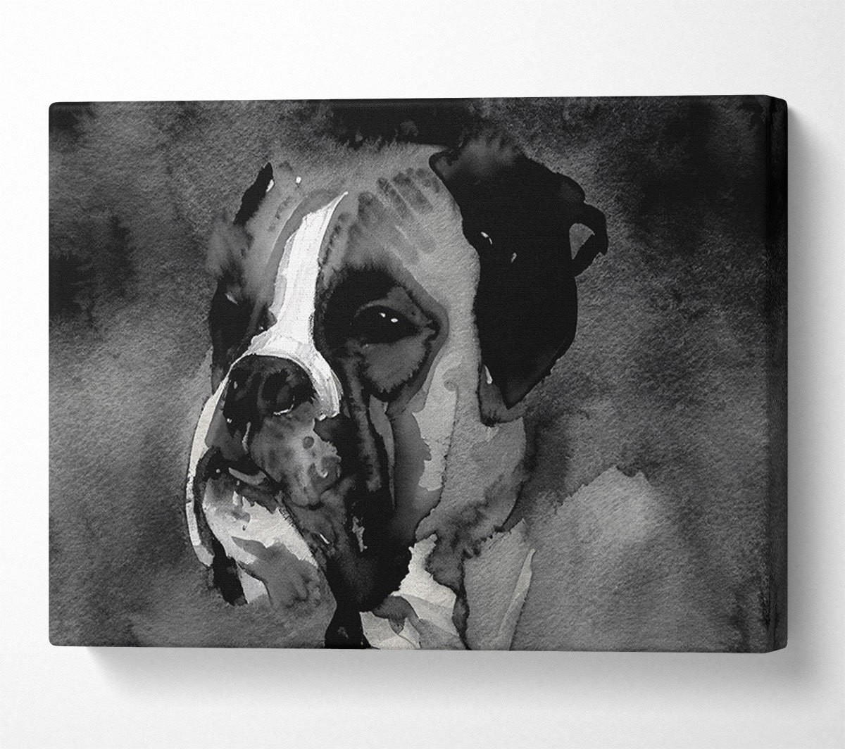 ClassicLiving Boxer Beauty - Print | Wayfair.co.uk