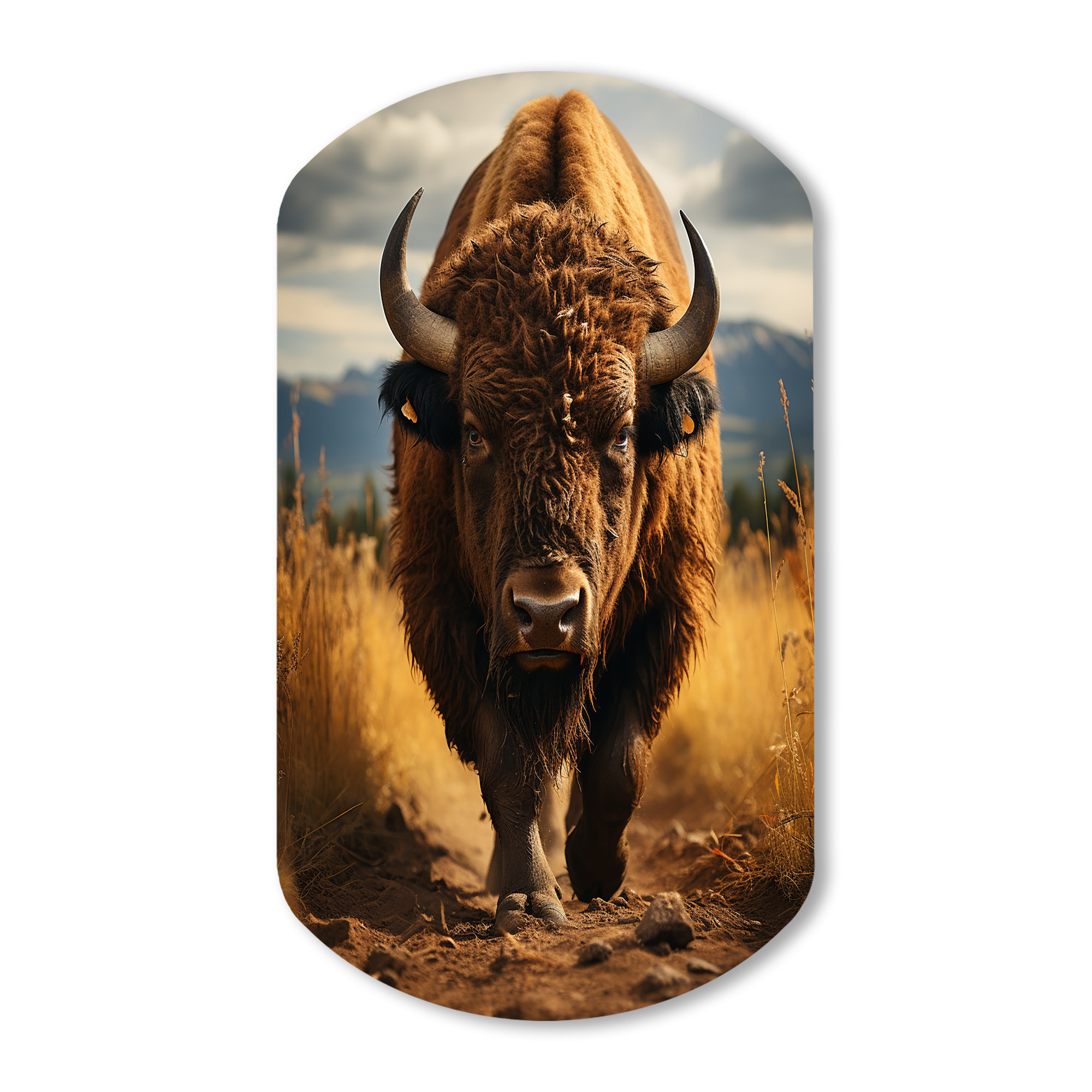 Design Art Bison Portrait II - Bison Cylinder Shape Metal Wall ...