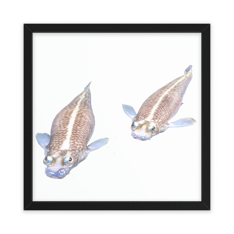 East Urban Home Koi Fish - Picture Frame Illustration | Wayfair