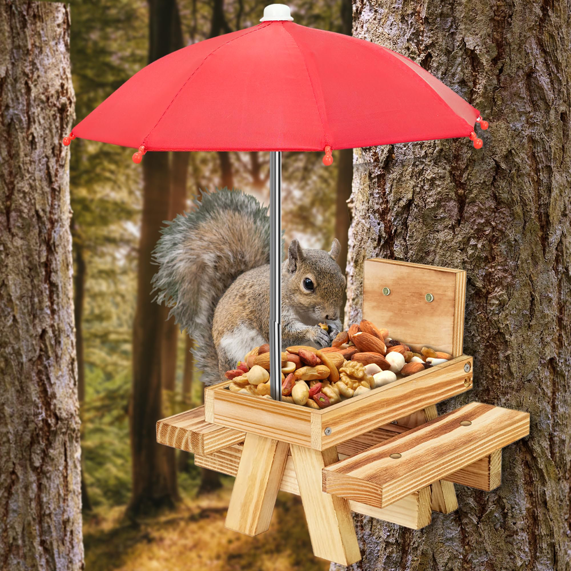 squirrel feeder