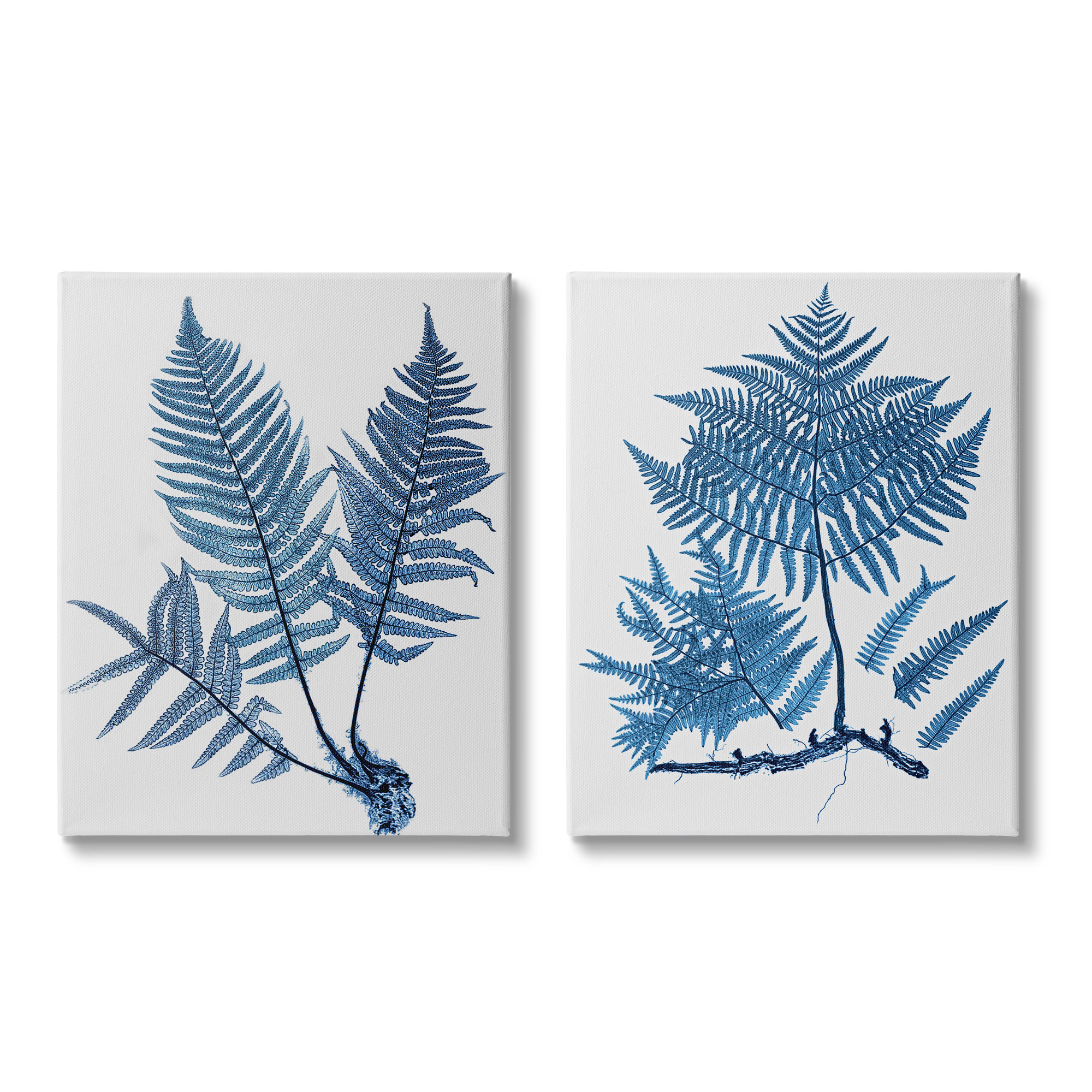 Stupell Industries Bold Blue Ferns Woodland Nature On Canvas 2 Pieces ...