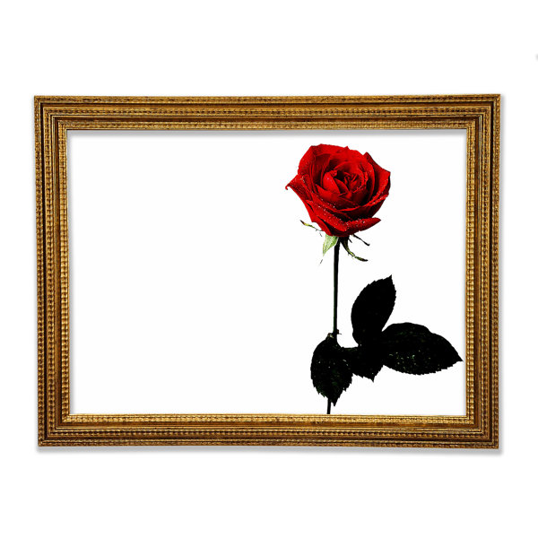 Ebern Designs Die Liebenden Rote Rose - Druck | Wayfair.de