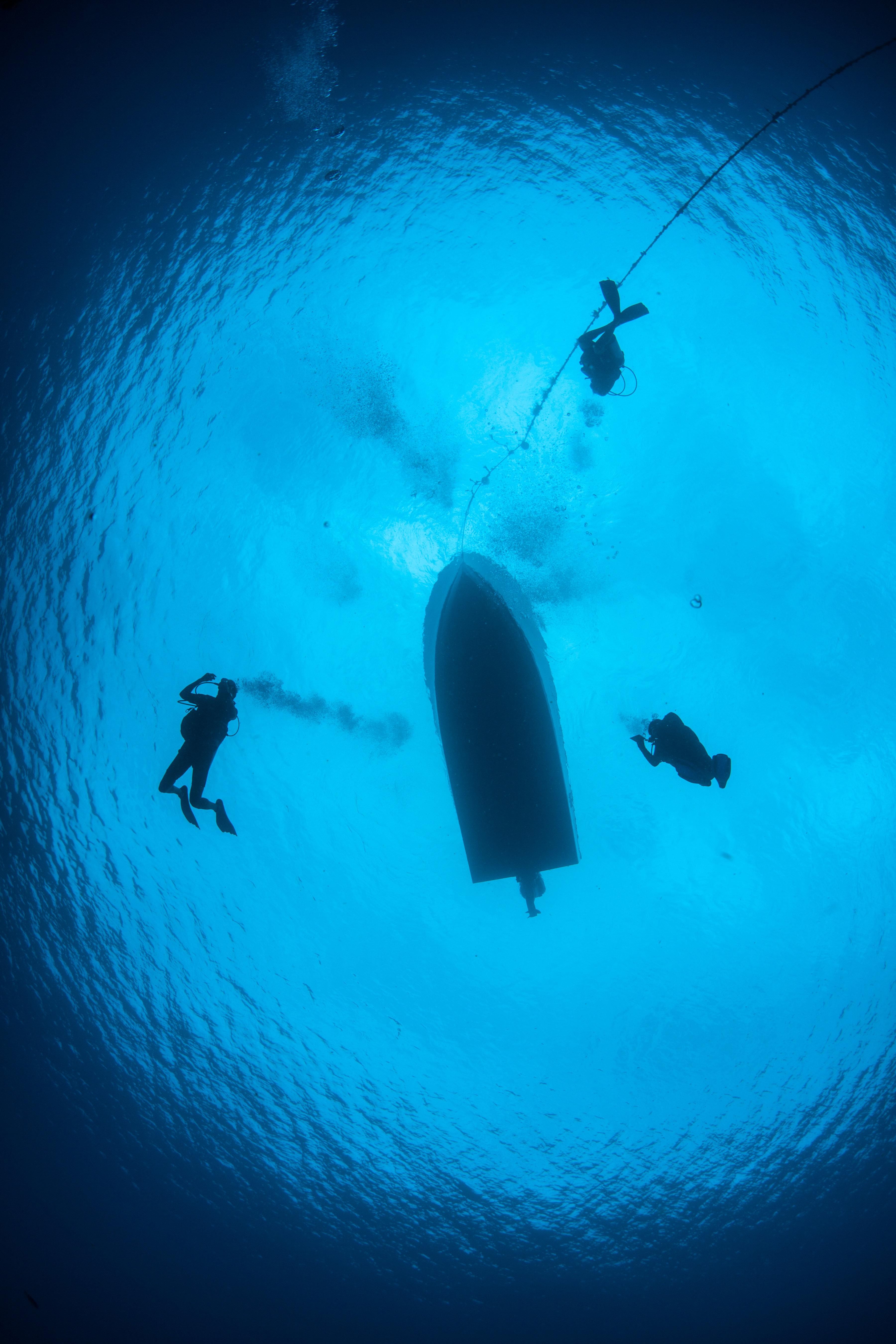 Highland Dunes Boat And Scuba Divers by Velvetfish | Wayfair