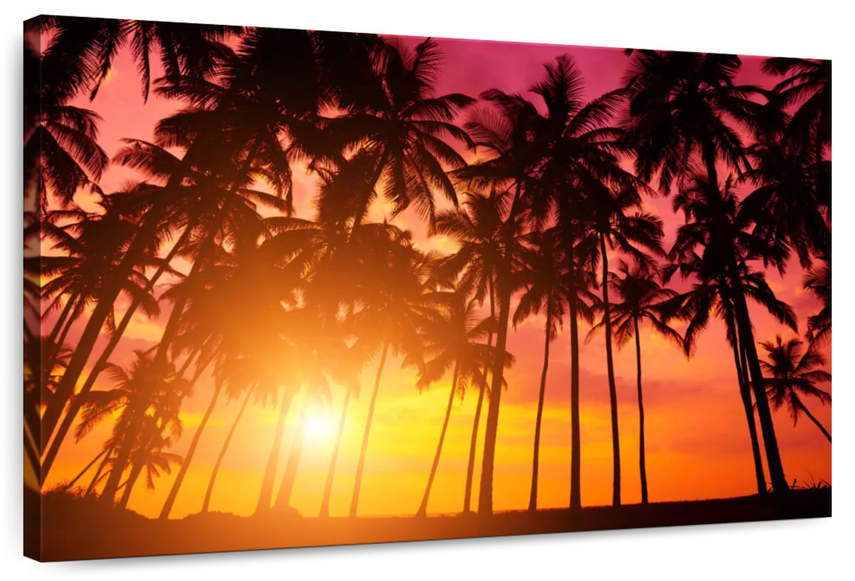 Lark Manor Harnek Palm Trees At Sundown - Wayfair Canada