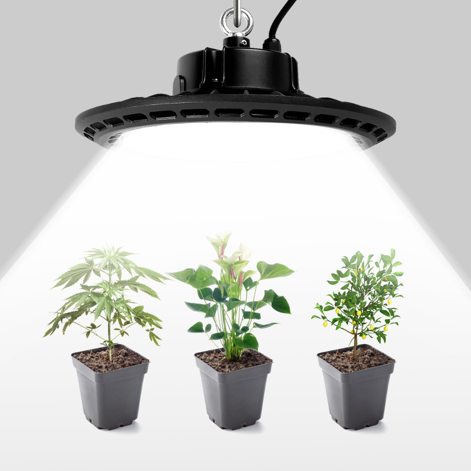 Ventray Home Ventray 150w Ufo Led Grow Light, Ip55 Waterproof Full ...