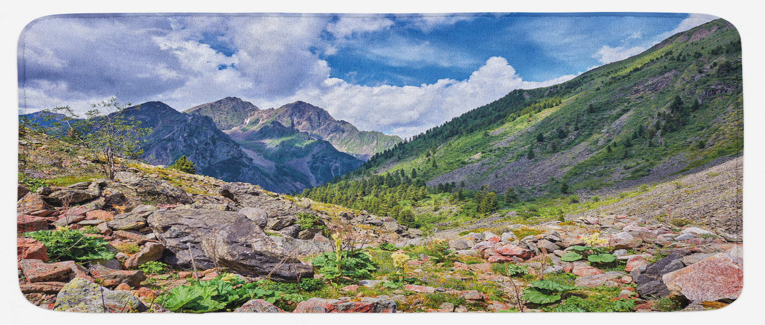 East Urban Home Mountains Wild Rhubarb Natural View Eastern Siberia ...