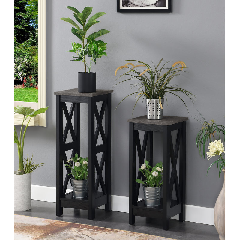 Beachcrest Home™ Darek Square Etagere Solid Wood Plant Stand & Reviews ...