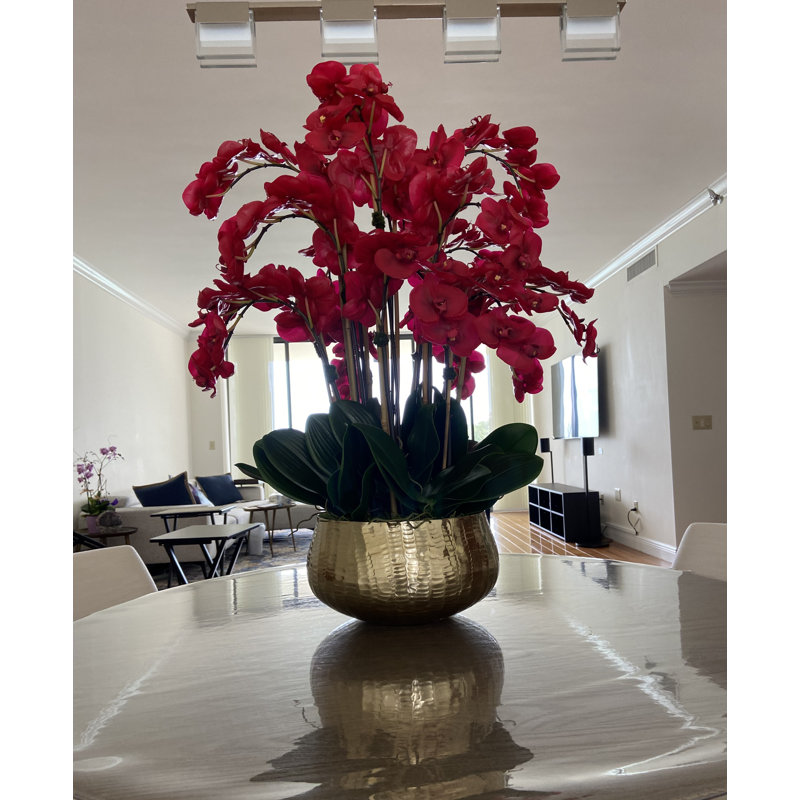 CFA Design Group Roberi Orchid Arrangement in Pot & Reviews | Wayfair