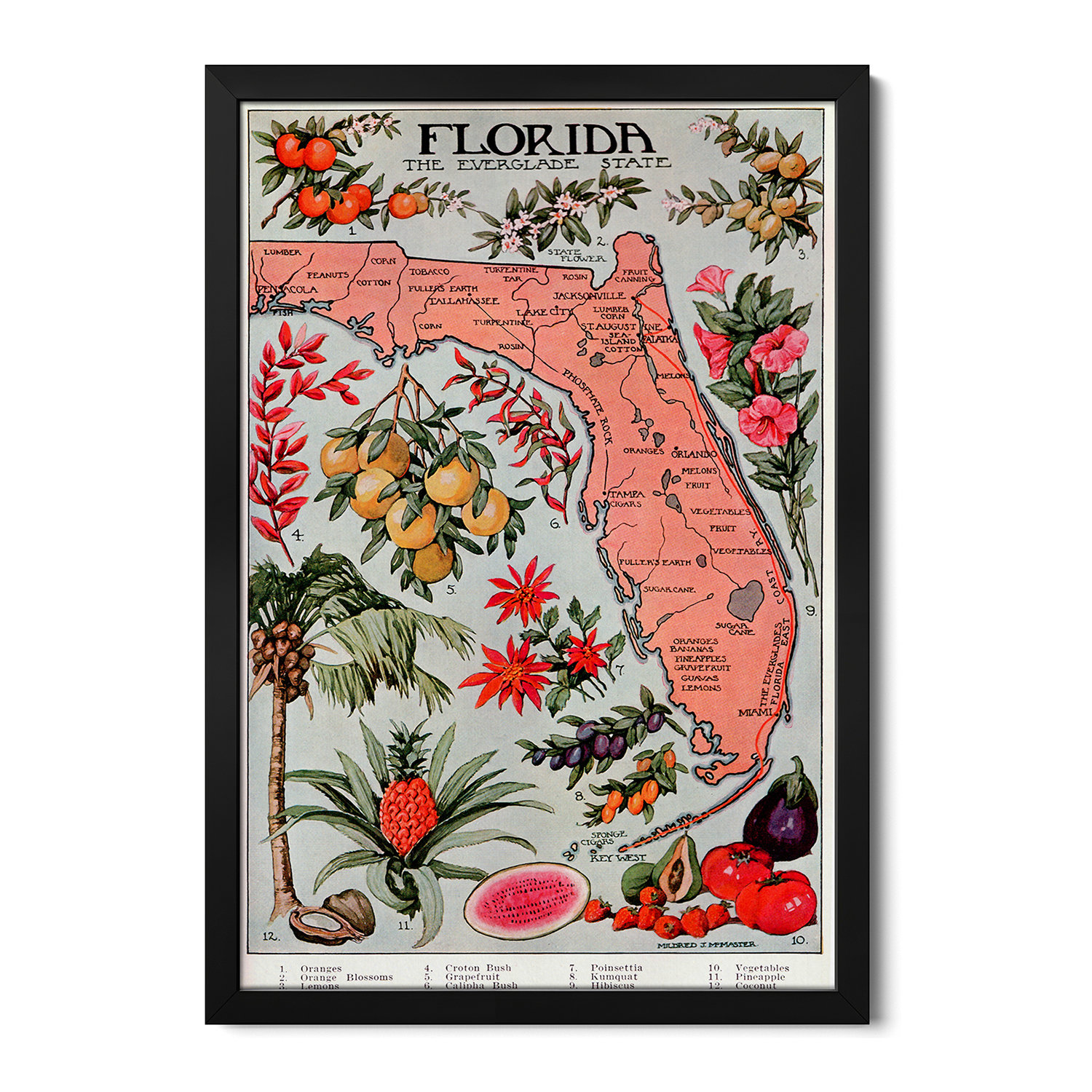 Lark Manor State Map of Florida (Natural Resources) - Vintage Poster ...