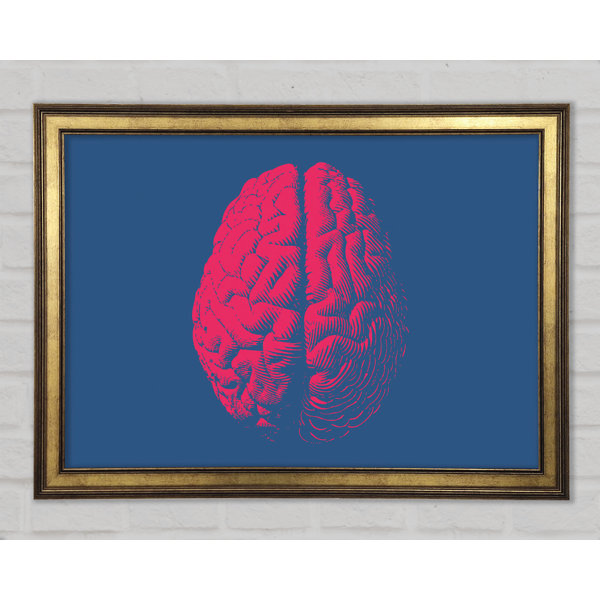 ClassicLiving The Red Brain - Single Picture Frame Art Prints | Wayfair ...