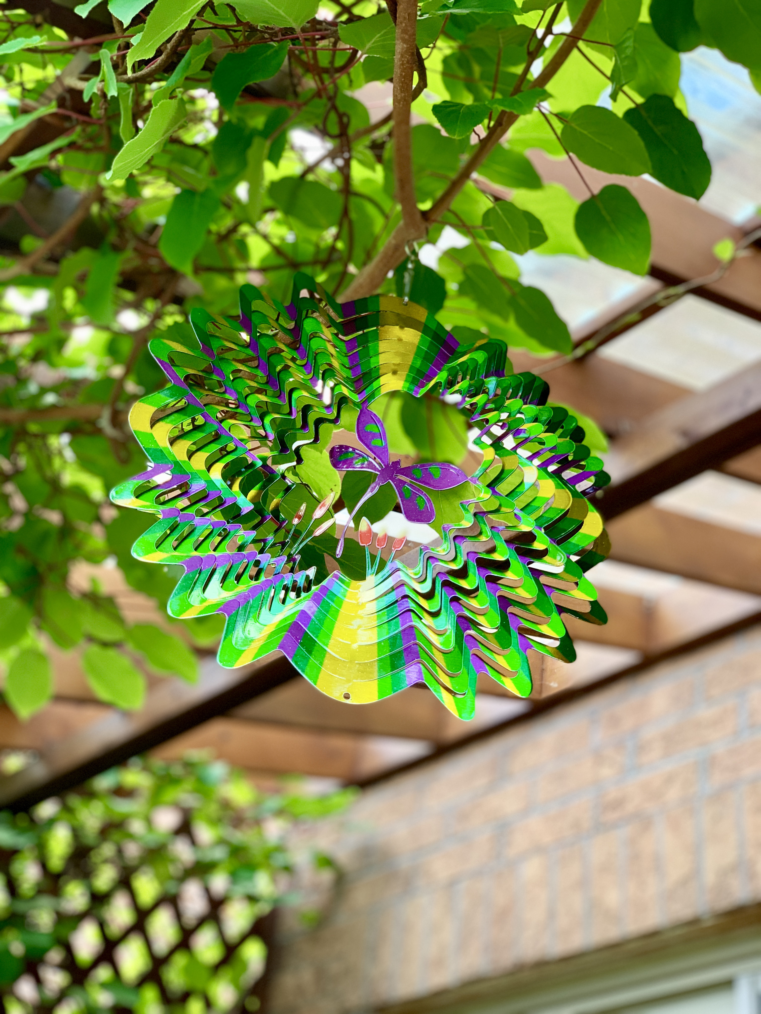 August Grove® Antonucci 3D Hanging Dragonfly Rotator | Wayfair