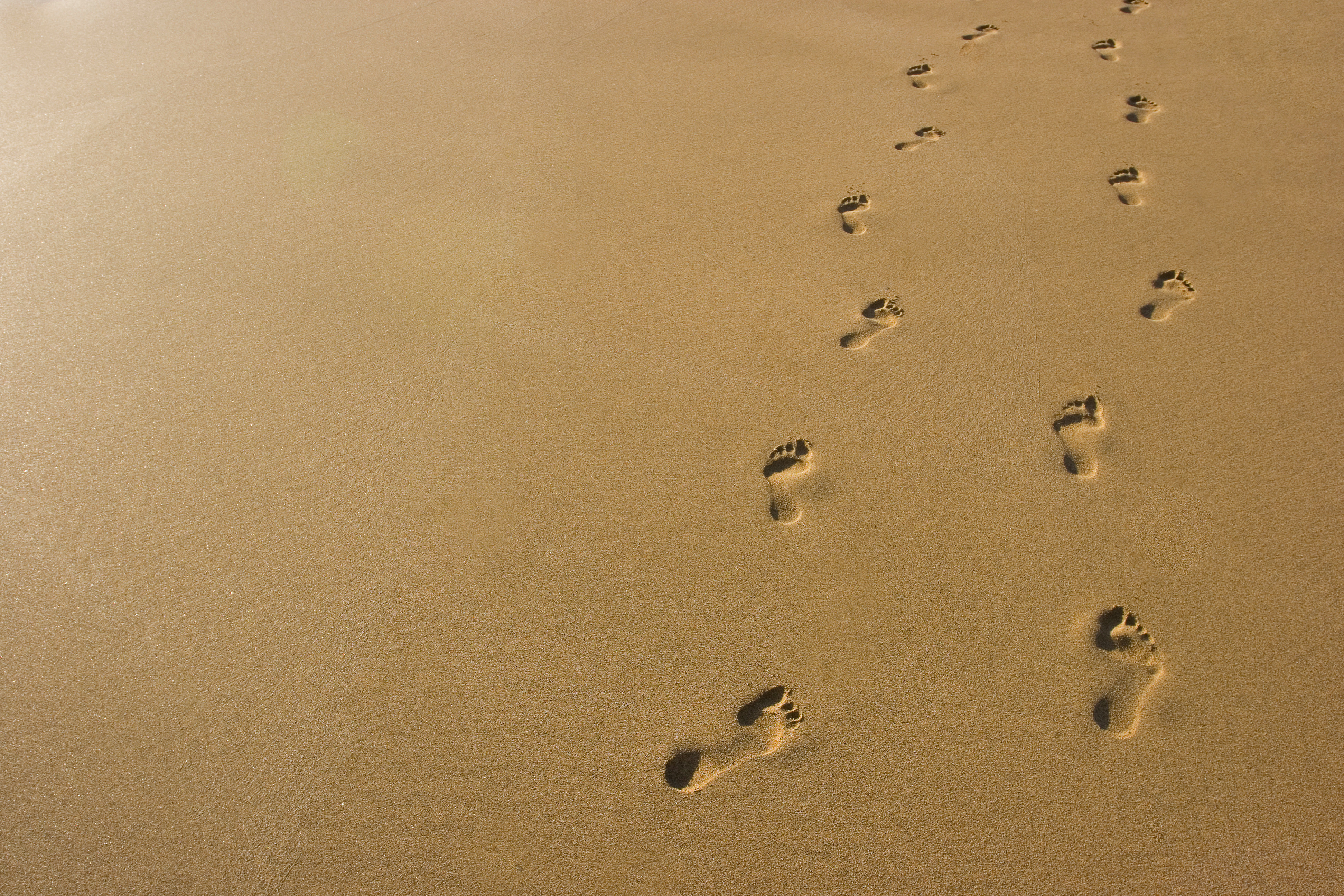 Ebern Designs Footprints by Dny59 | Wayfair