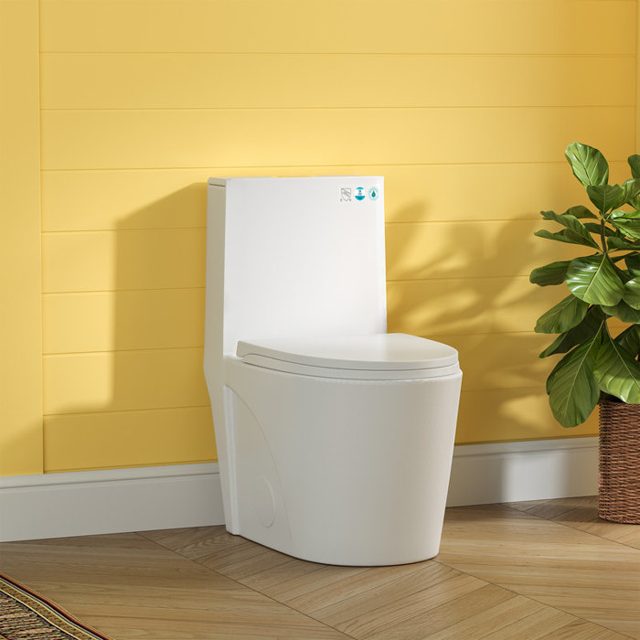 SUNRINX Compact One Piece Modern Elongated Toilet with ADA-Compliant ...