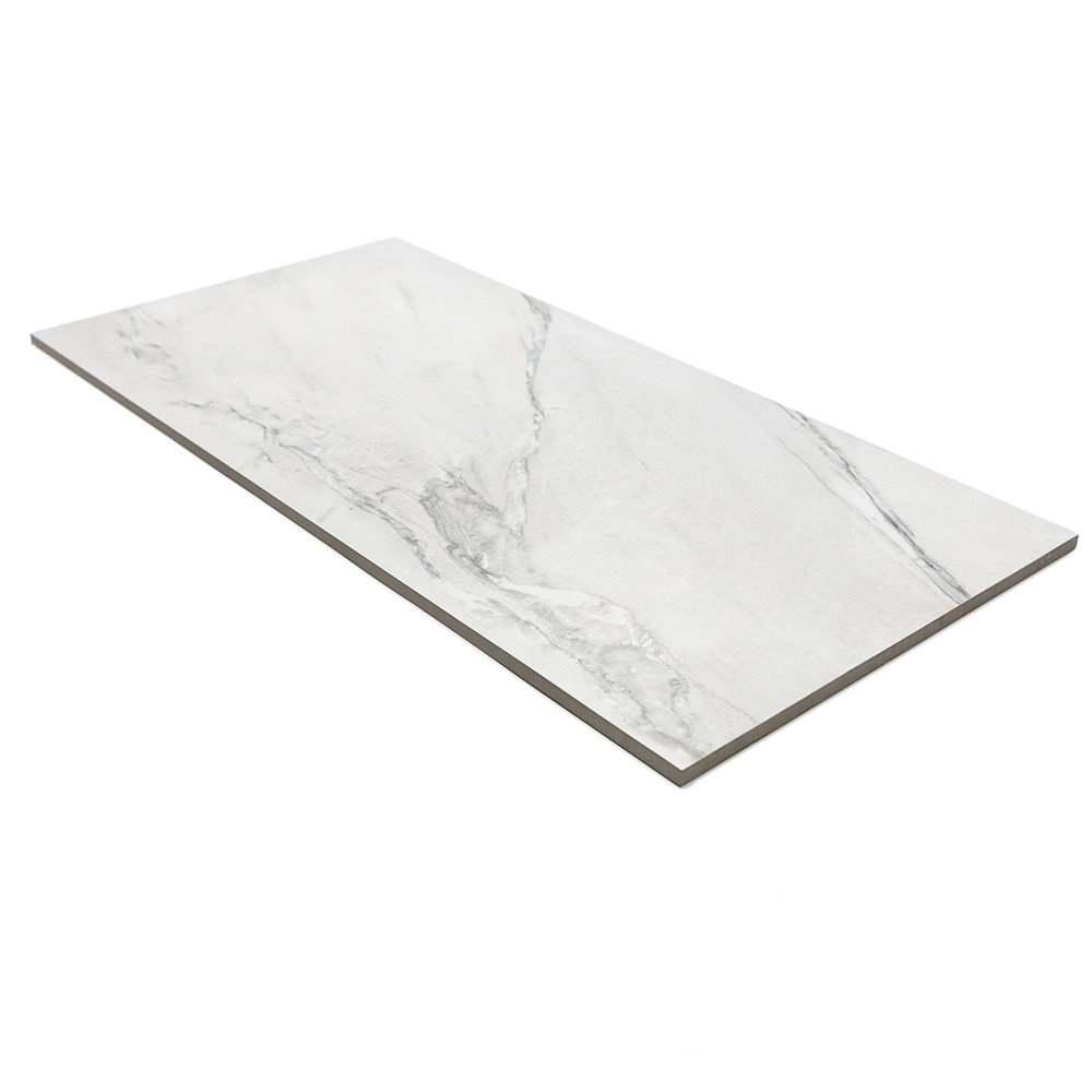 The Tile Life Monarch 12" x 24" Polished Porcelain Wall & Floor Tile ...