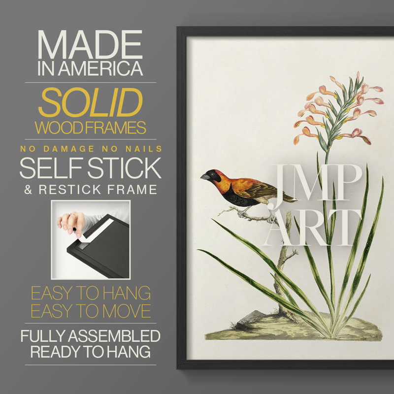 habitat poster frames