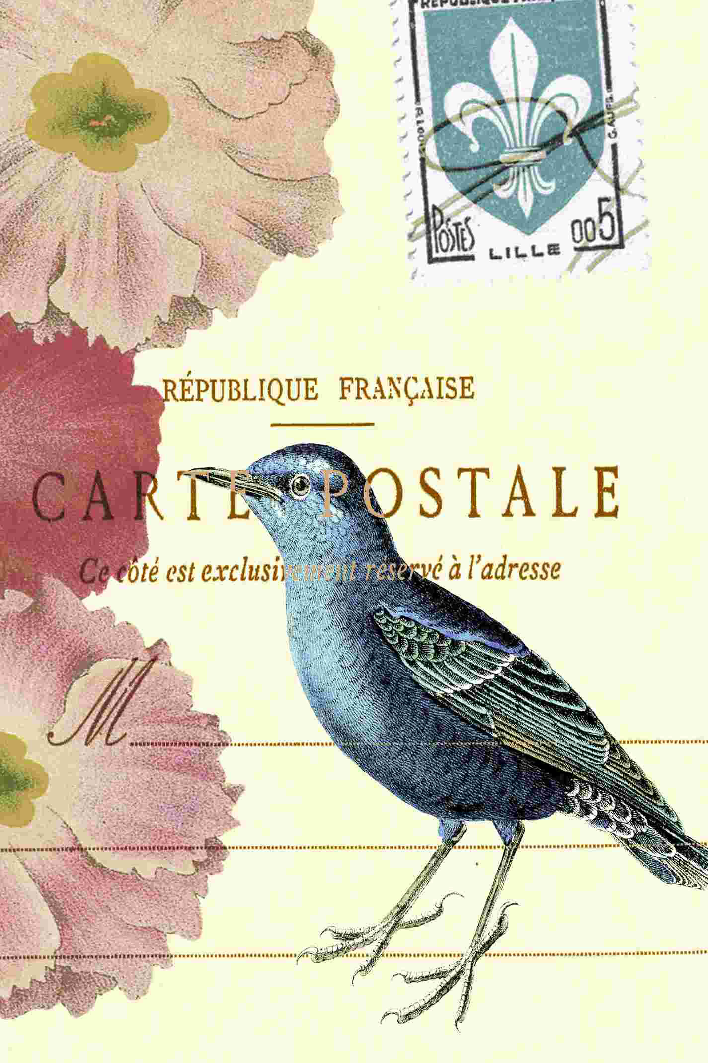 Winston Porter Nature Postcard 3 - Wayfair Canada