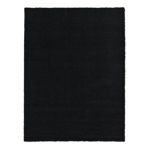 Wayfair | 3' x 5' Black Area Rugs You'll Love in 2023