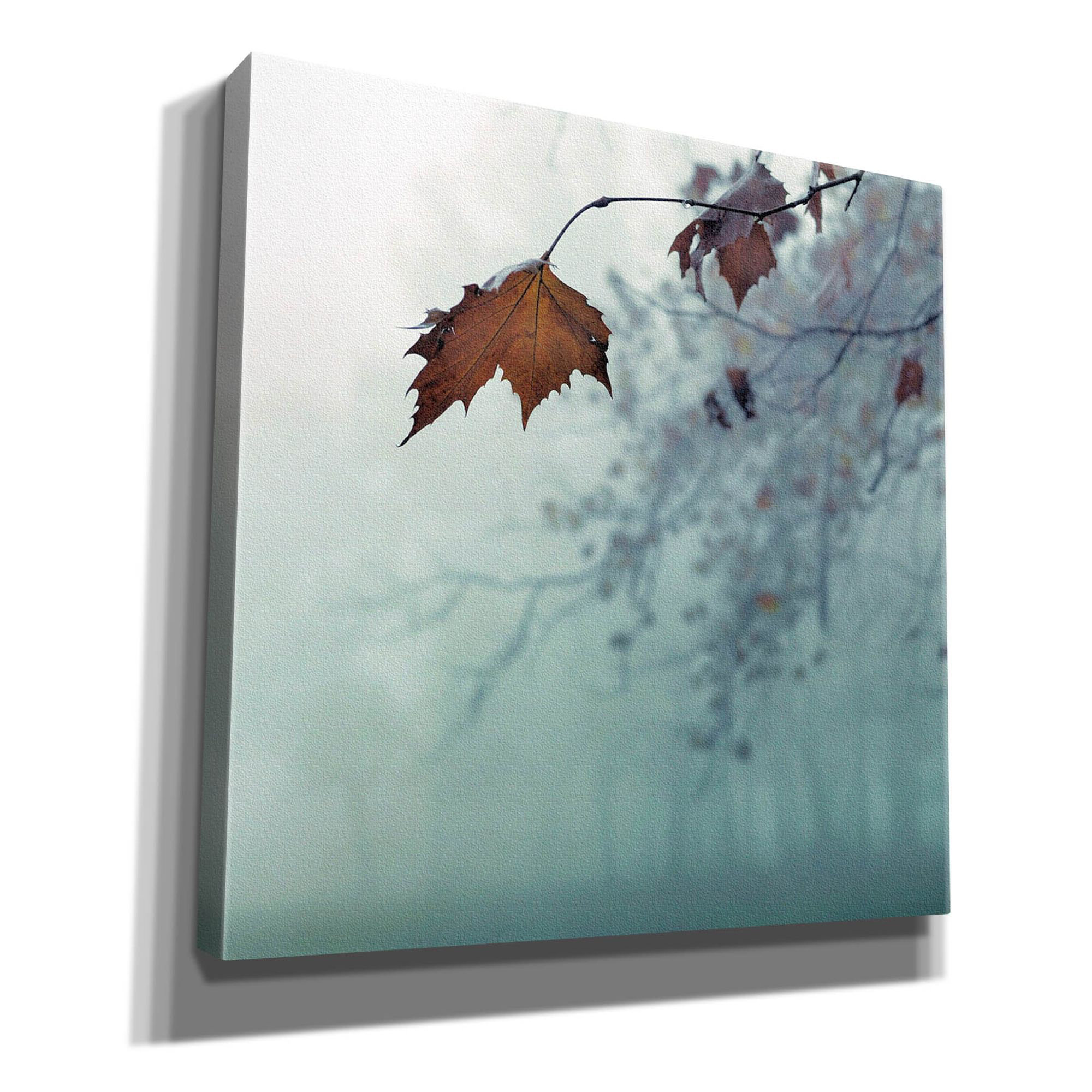Red Barrel Studio® November On Canvas by Nicholas Bell Photography ...