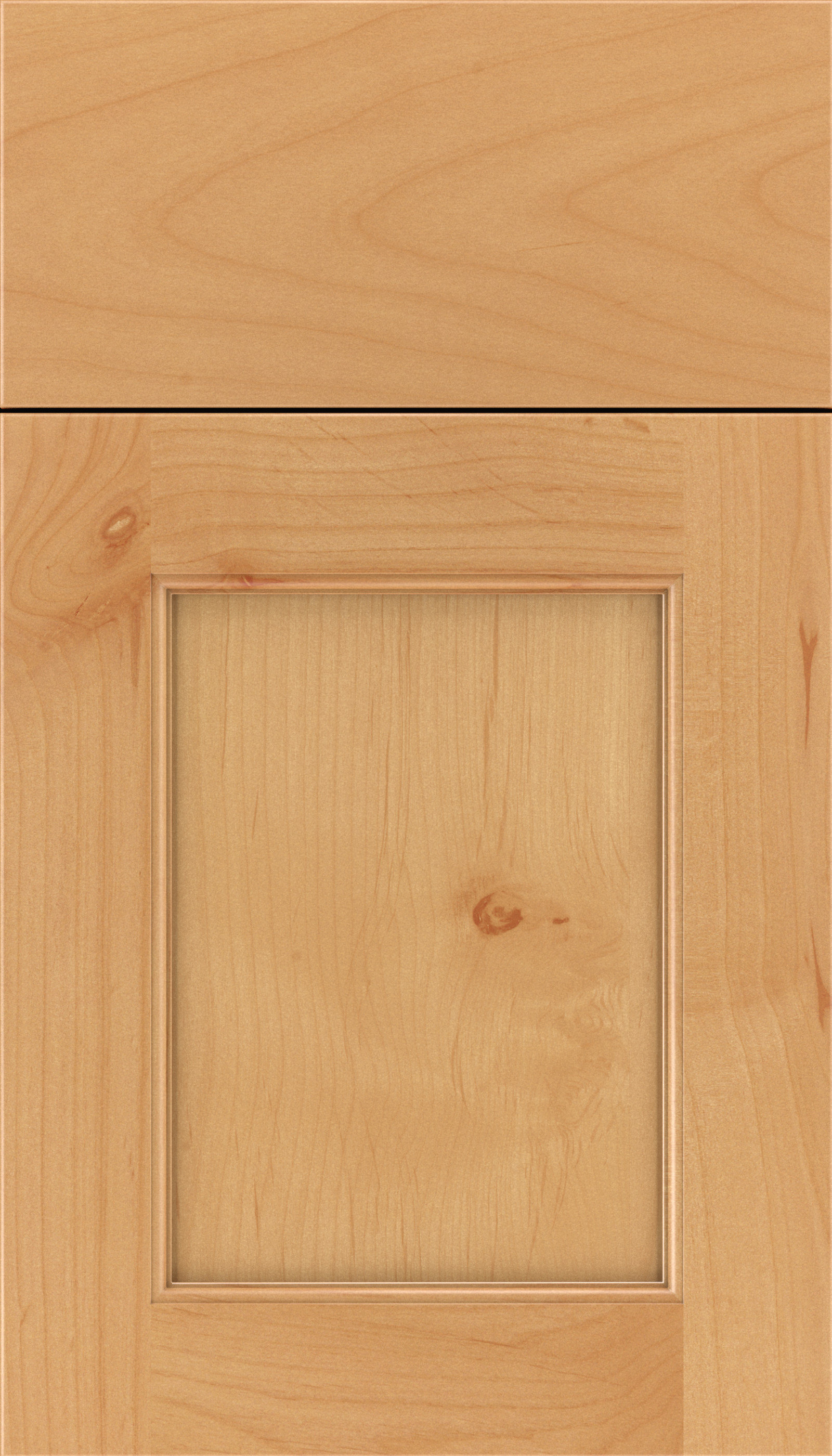 Dwelling Full Access Westwood Door Sample - Wayfair Canada