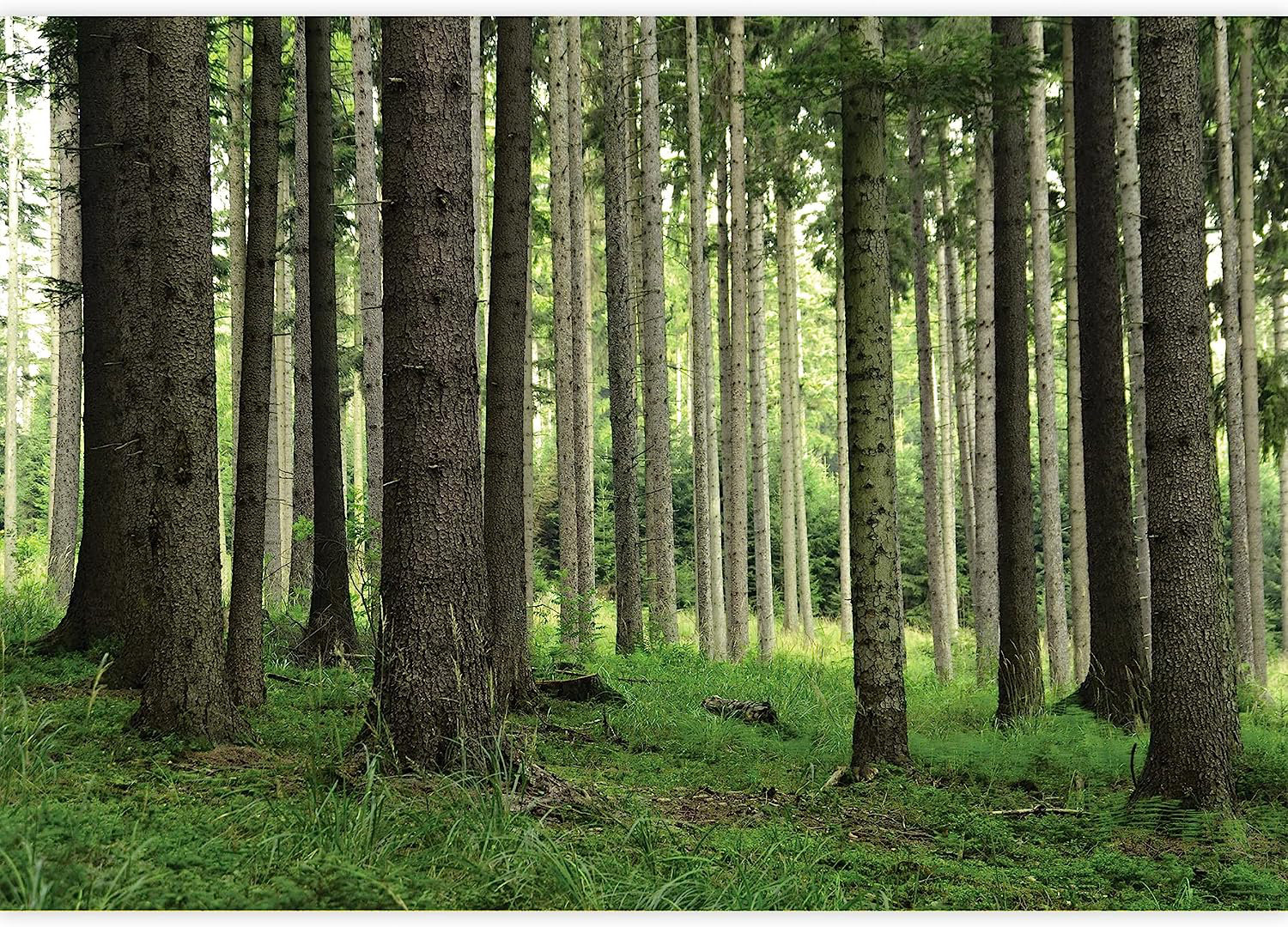 IDEA4WALL Tree in Green Forest Landscape Wall Mural | Wayfair