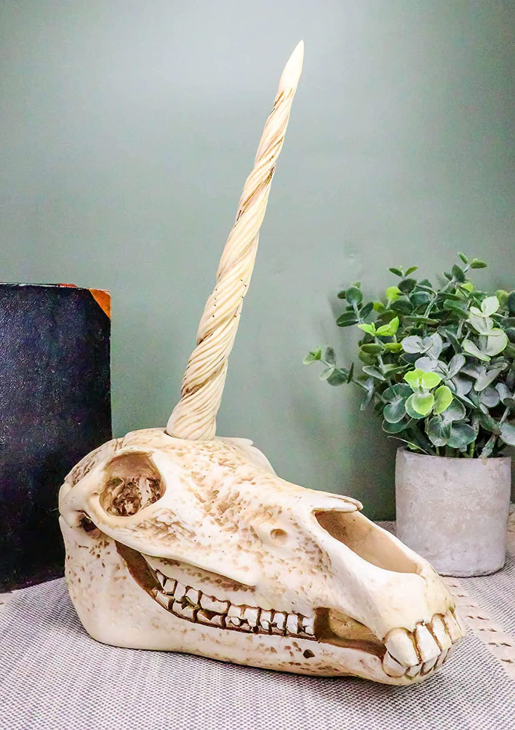 Trinx Ebros Legendary Ancient Fossil Unicorn With Magical Horn Skull ...