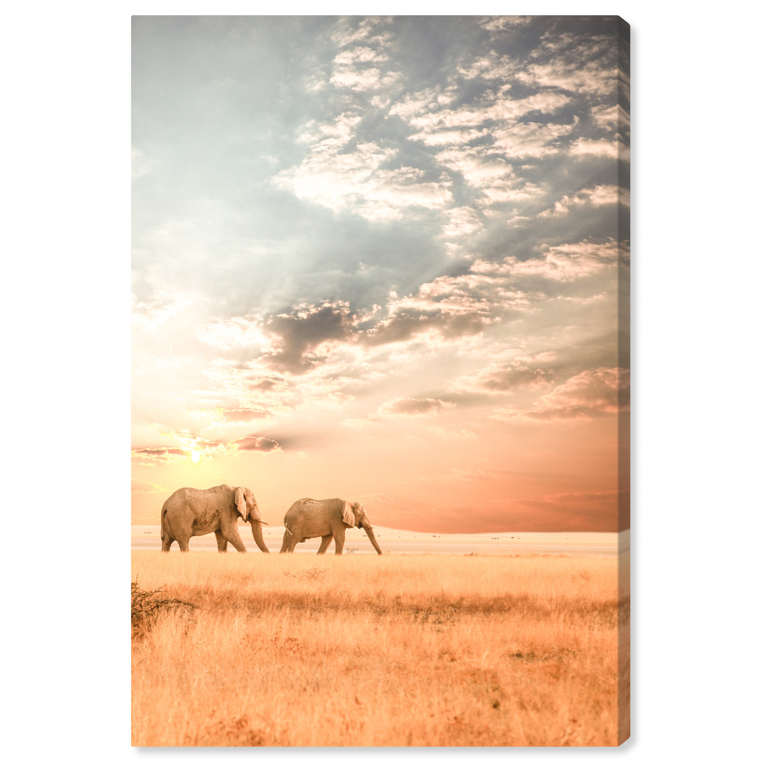 Winston Porter Animals Long Way Together Modern & Contemporary Brown ...