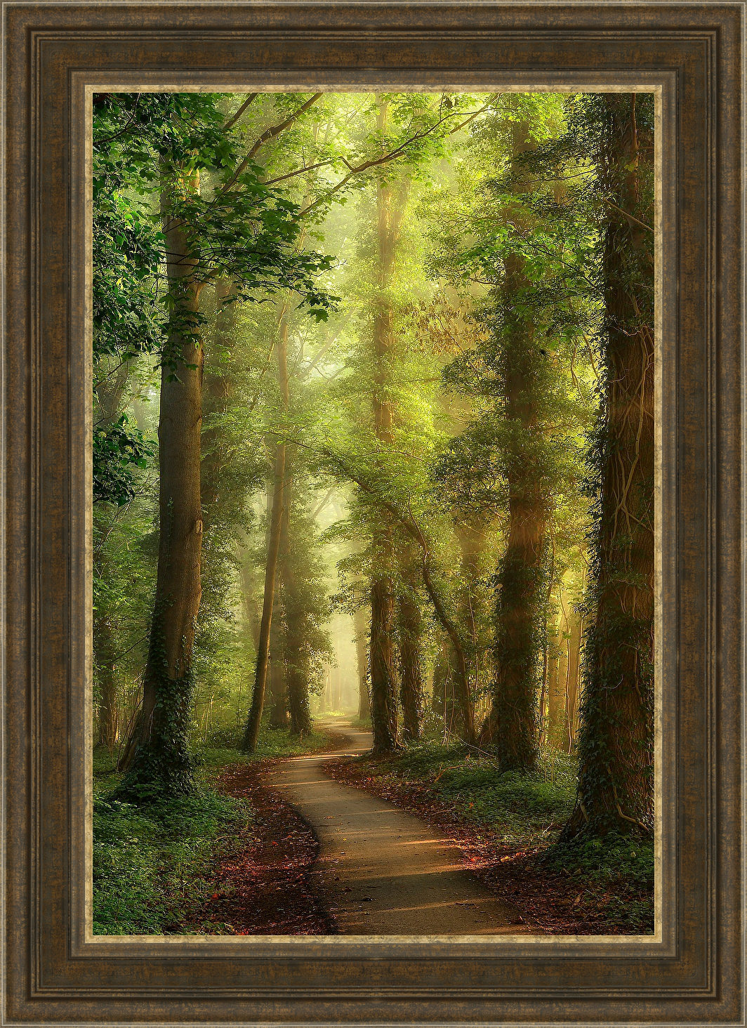 Millwood Pines 'Snake Path' Framed Photographic Print - Wayfair Canada