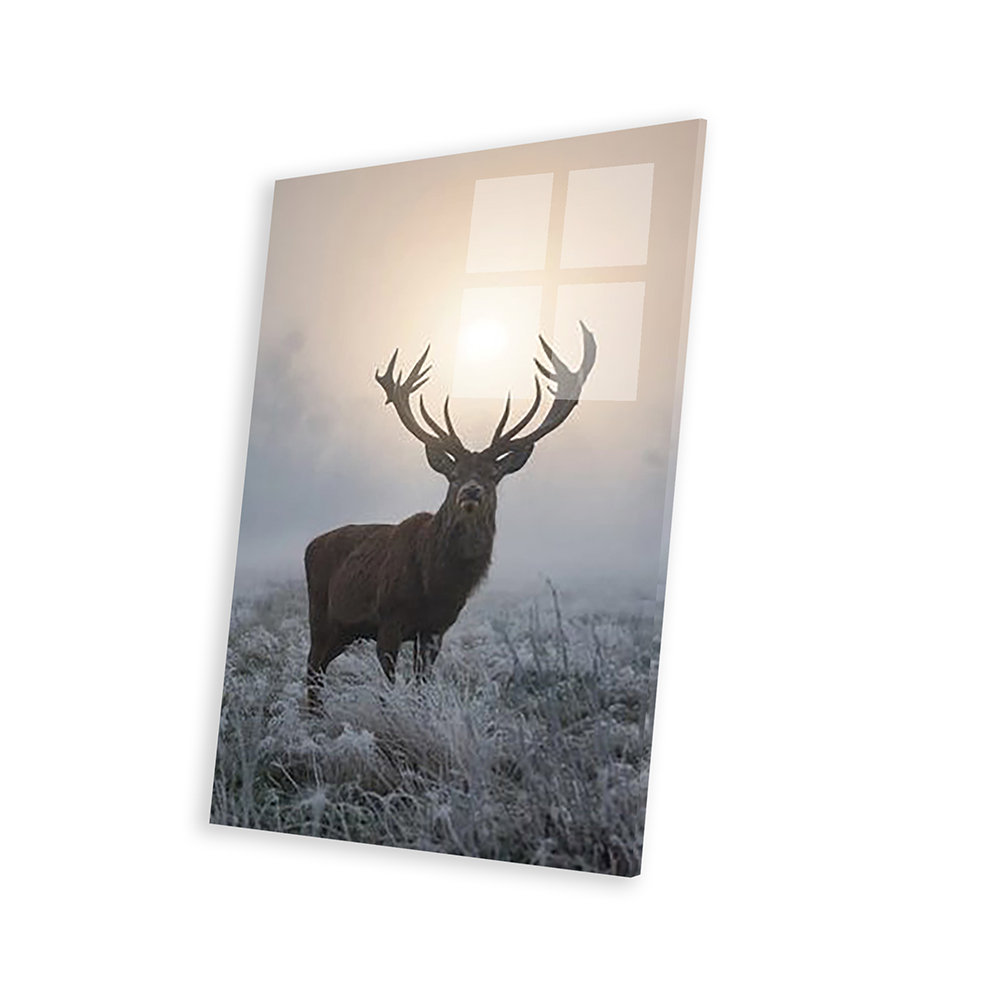 Millwood Pines Frosty Glow by Max Ellis - Unframed Graphic Art | Wayfair