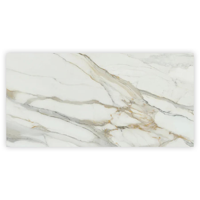 Apollo Tile Splendor 24 X 48 In. Polished White With Gray Vein ...