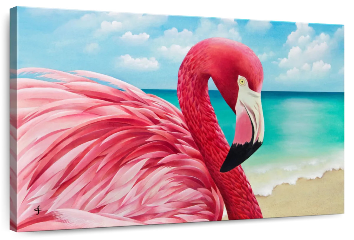 Ebern Designs Brampt Exotic Pretty In Pink | Wayfair