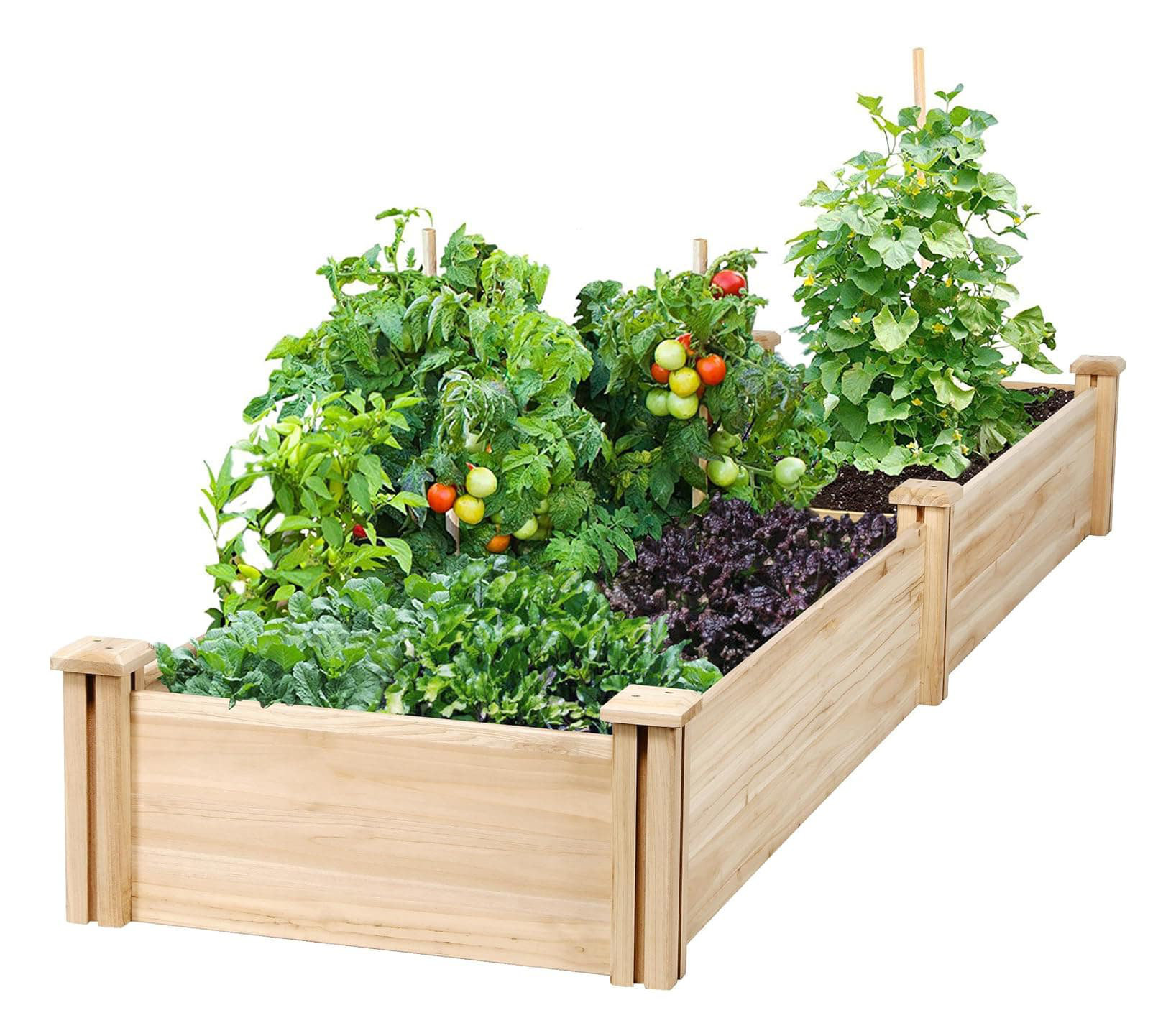Arlmont & Co. Earla Wood Raised Garden Bed | Wayfair
