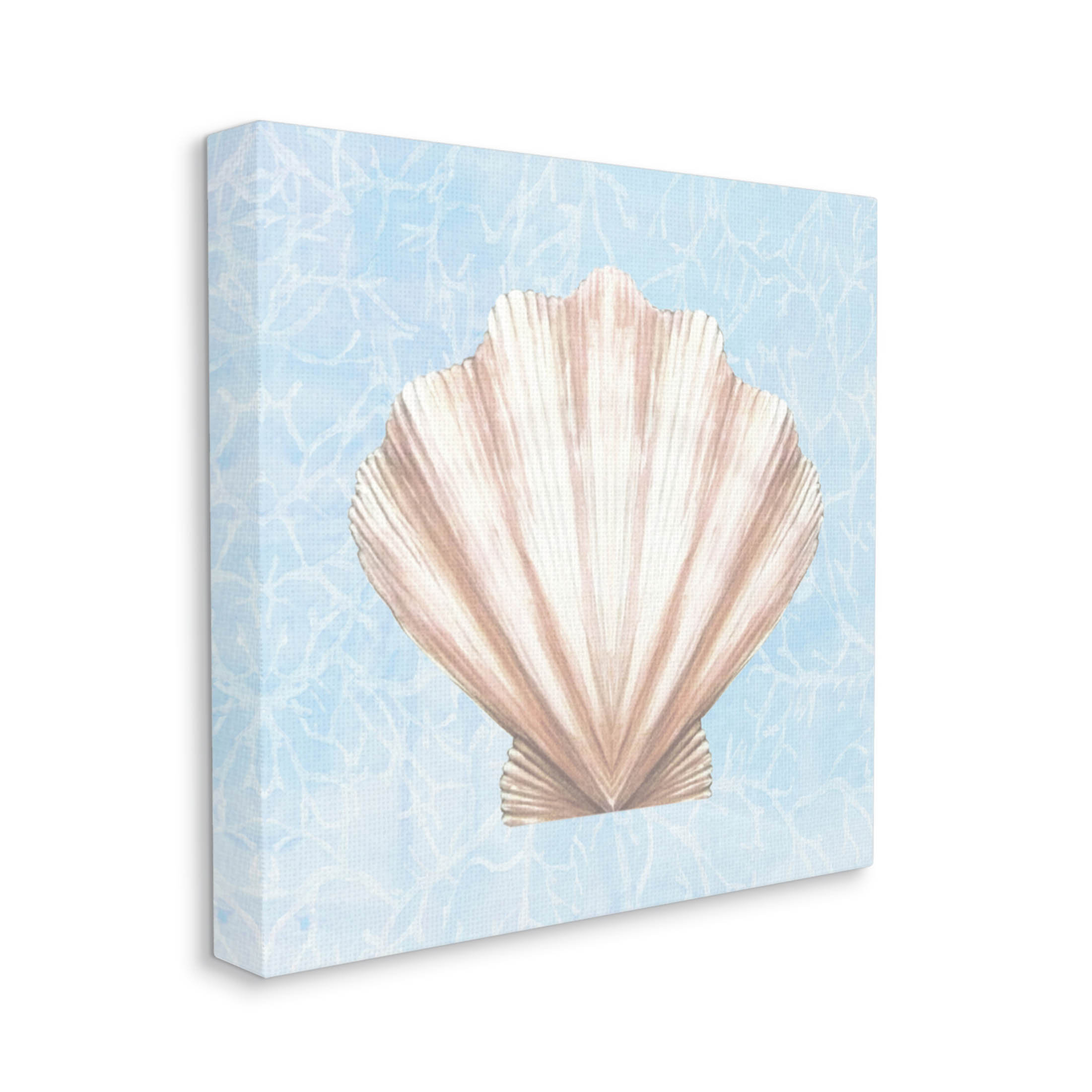 Stupell Industries " Water Pattern Aquatic Clam Shell " - Wayfair Canada