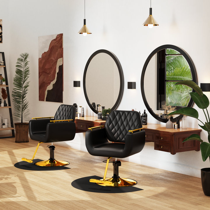 Inbox Zero Black And Gold Salon Chair, New Hair Stylist Chair With Soft ...