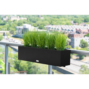 Planters You'll Love - Wayfair Canada