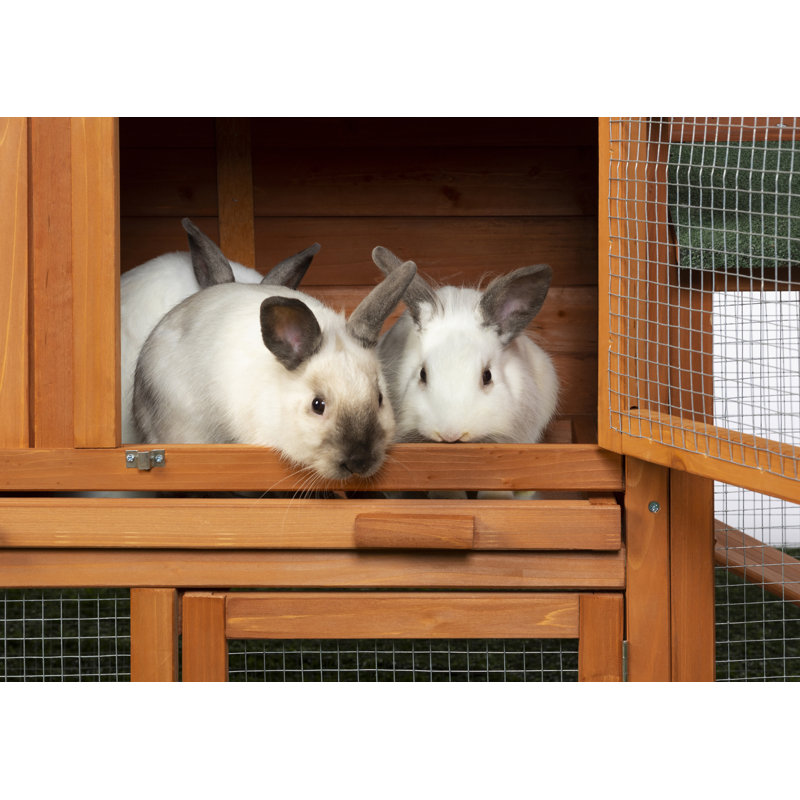 Archie & Oscar™ Lovern Weather Resistant Rabbit Hutch with Ramp | Wayfair