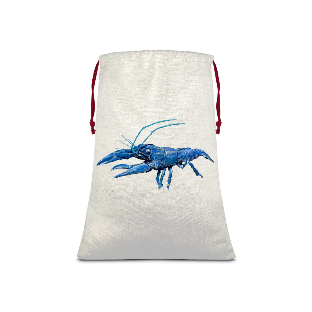 East Urban Home Blue Crawfish Sublimation Santa Sack | Wayfair
