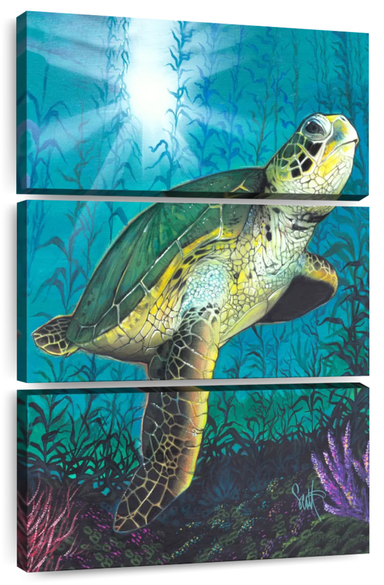 Ebern Designs Brampt Turtle Underwater | Wayfair