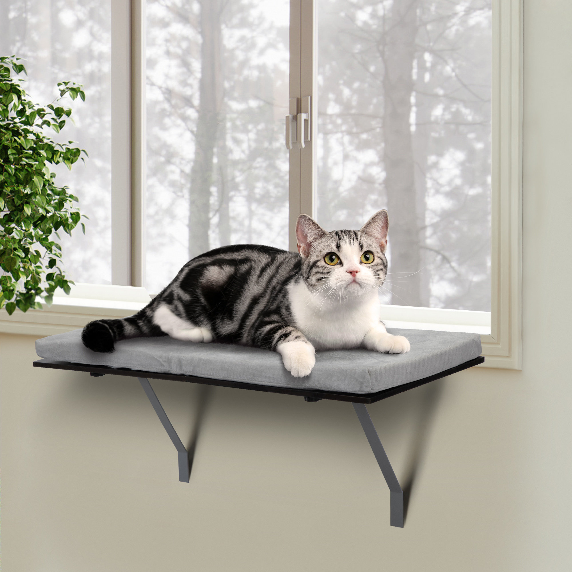 Tucker Murphy Pet™ Pet Cat Window Seat Wall Mount Perch - Wayfair Canada