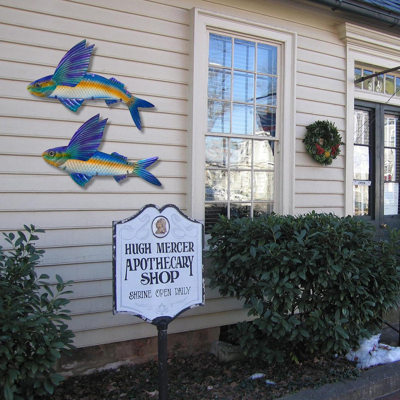 Breakwater Bay Metal Fish Wall Decor -Outdoor Metal Fish Wall Decor (2 ...