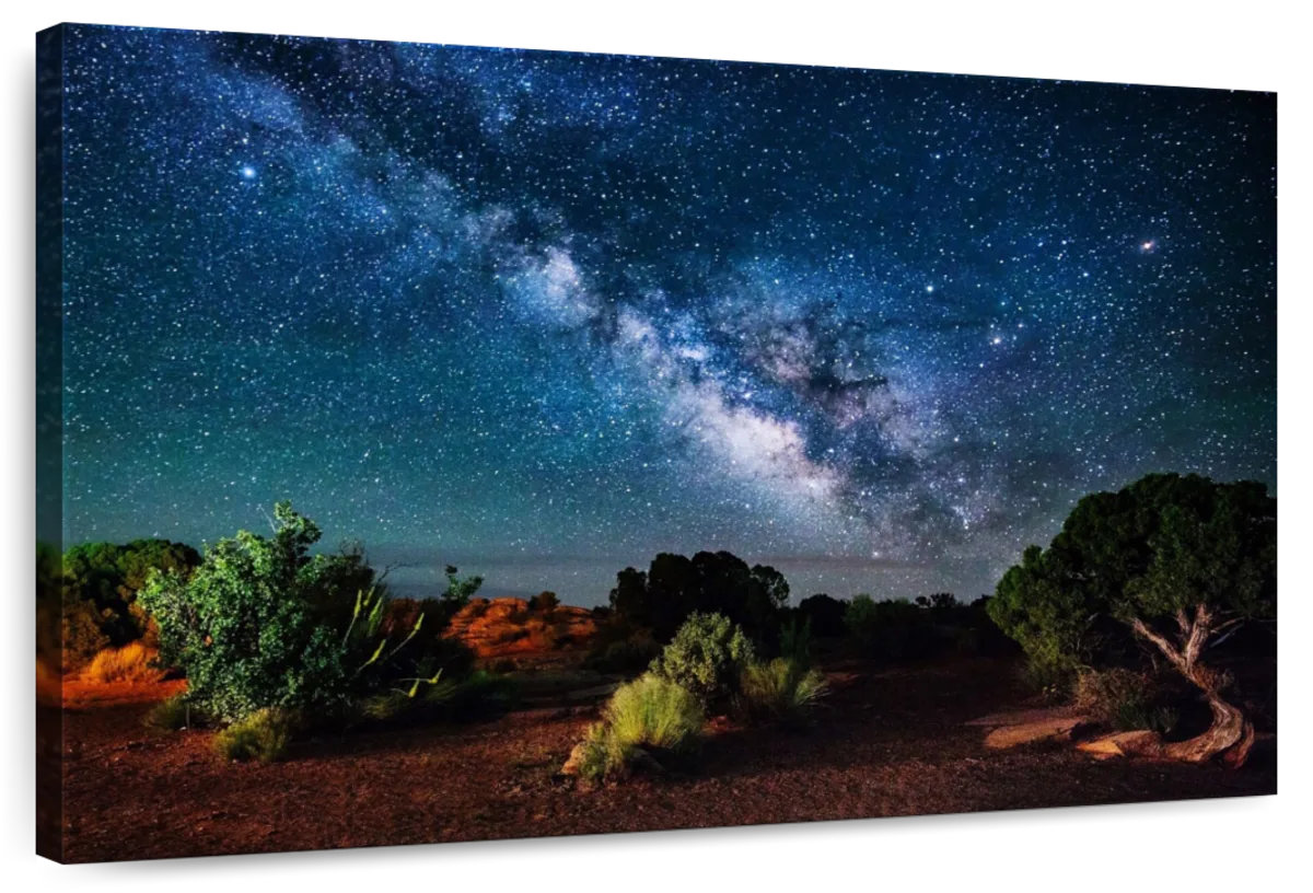 Ophelia & Co. Moab Milky Way - Wayfair Canada