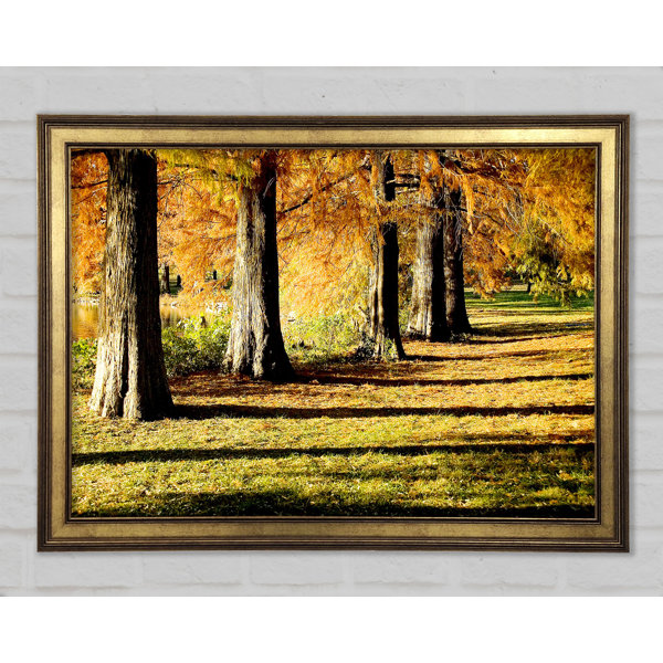 Union Rustic Orange Winter Woodland Walk - Print | Wayfair.co.uk