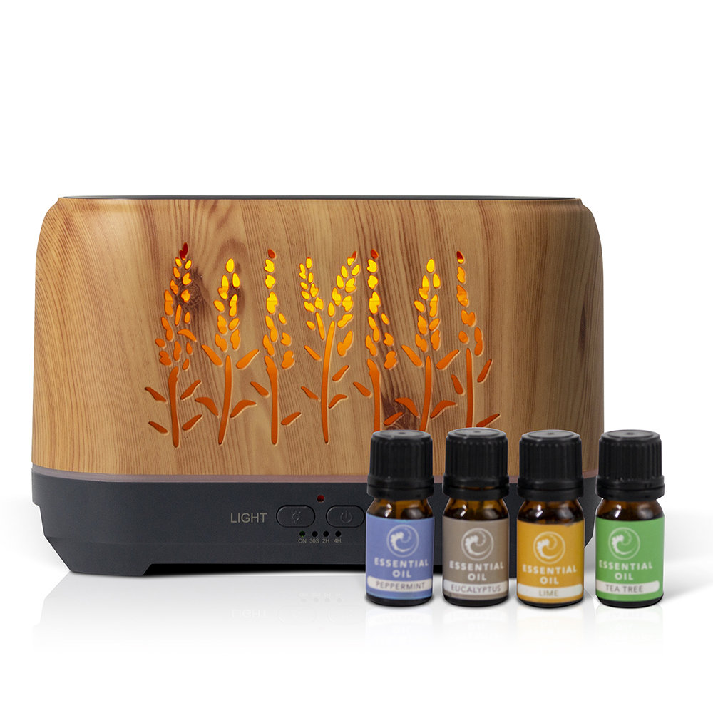 Symple Stuff Essential Oil Bottle & Reviews - Wayfair Canada