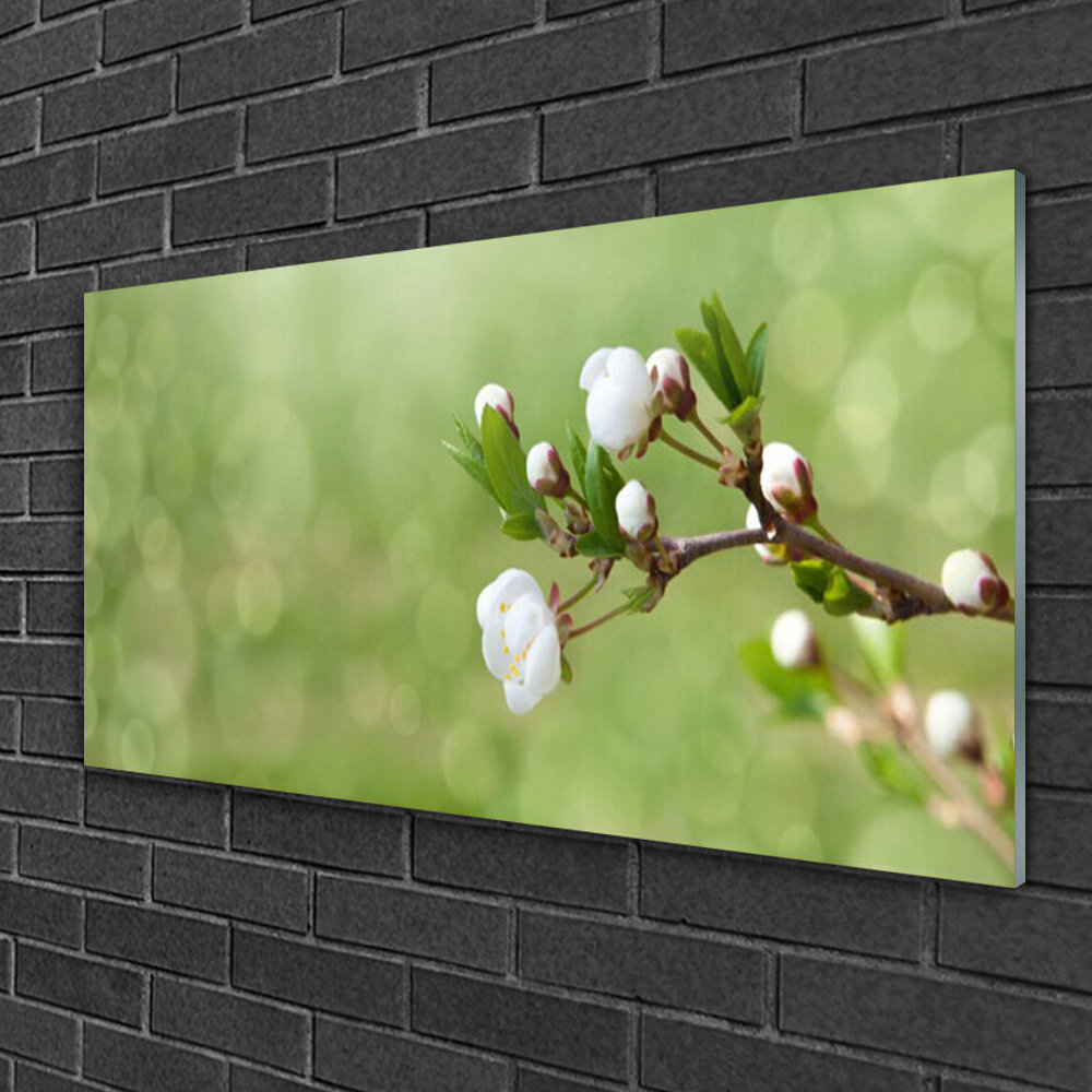 Brayden Studio Floral Flowers - Unframed Photograph on Glass | Wayfair ...