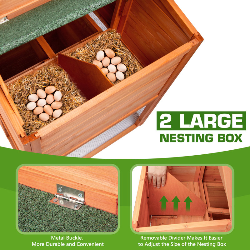 Tucker Murphy Pet™ 89‘’ Large Chicken Coop for 6-8 Chickens with 4 ...