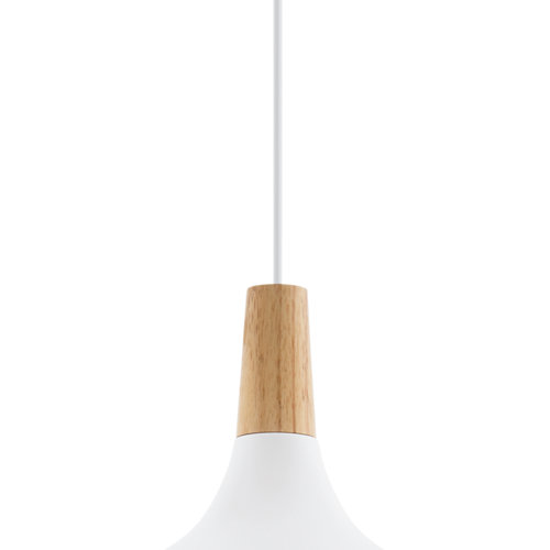 Zipcode Design Kaylen 1-Light Teardrop Pendant with Wood Accents ...