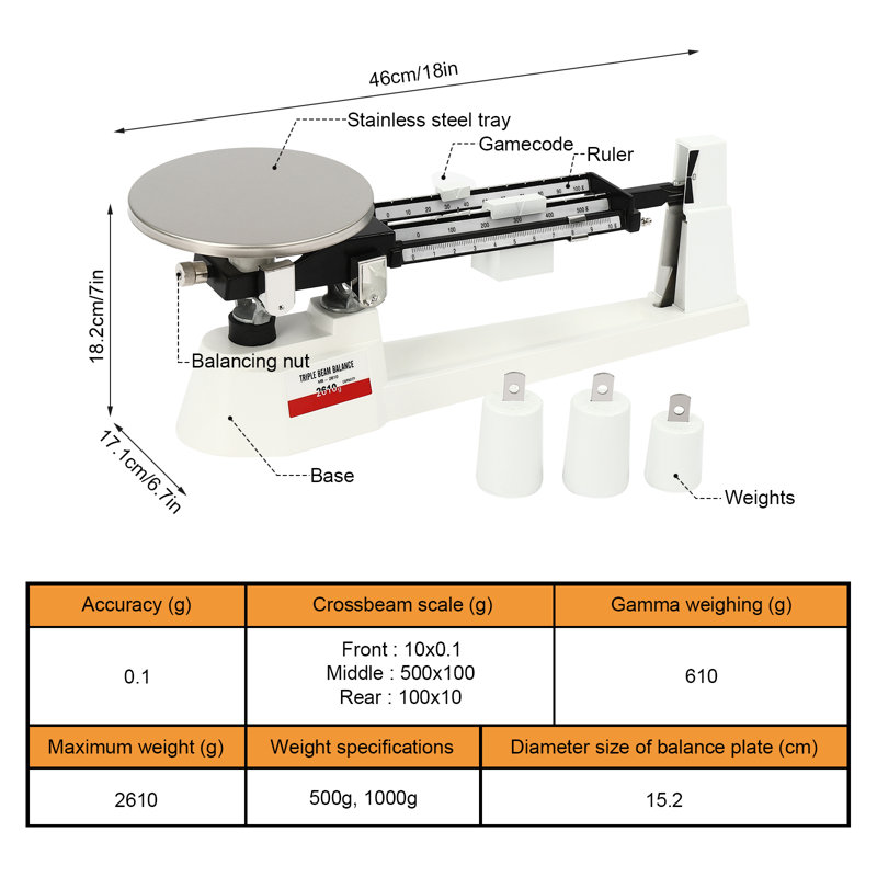 DENFER 2610G X 0.1G Triple Beam Mechanical Balance Scale | Wayfair