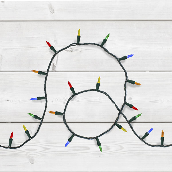 1'' String Lights | Birch Lane