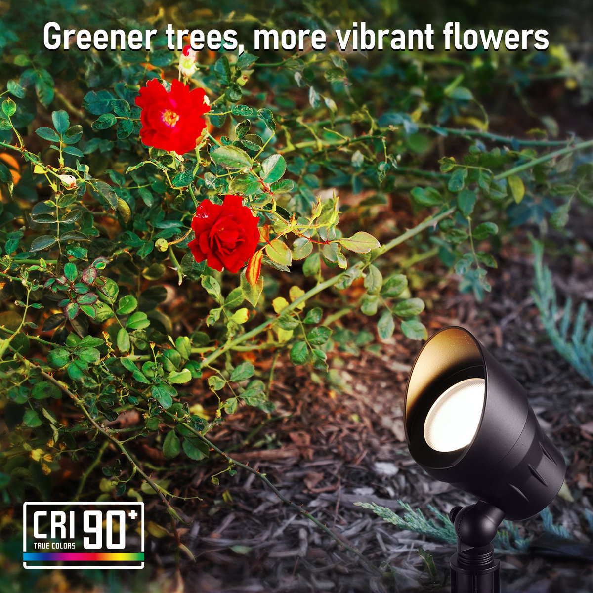 LEDVANS LED Low Voltage Spotlight, Outdoor Pathway Landscape Lights ...