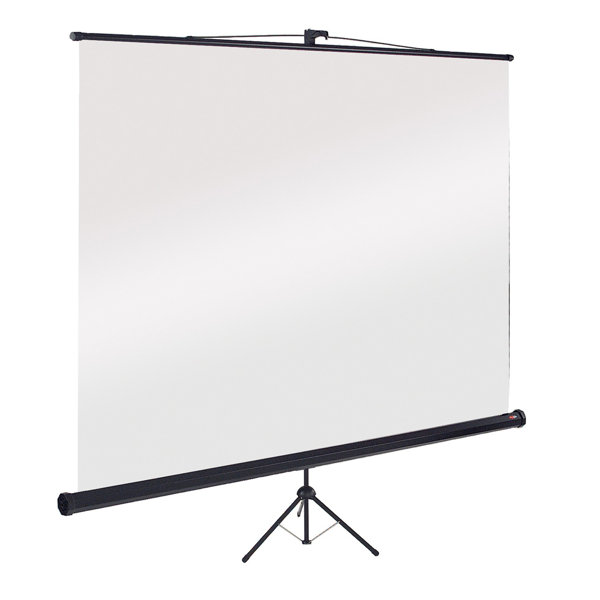 Symple Stuff White Portable Projection Screen & Reviews | Wayfair.co.uk