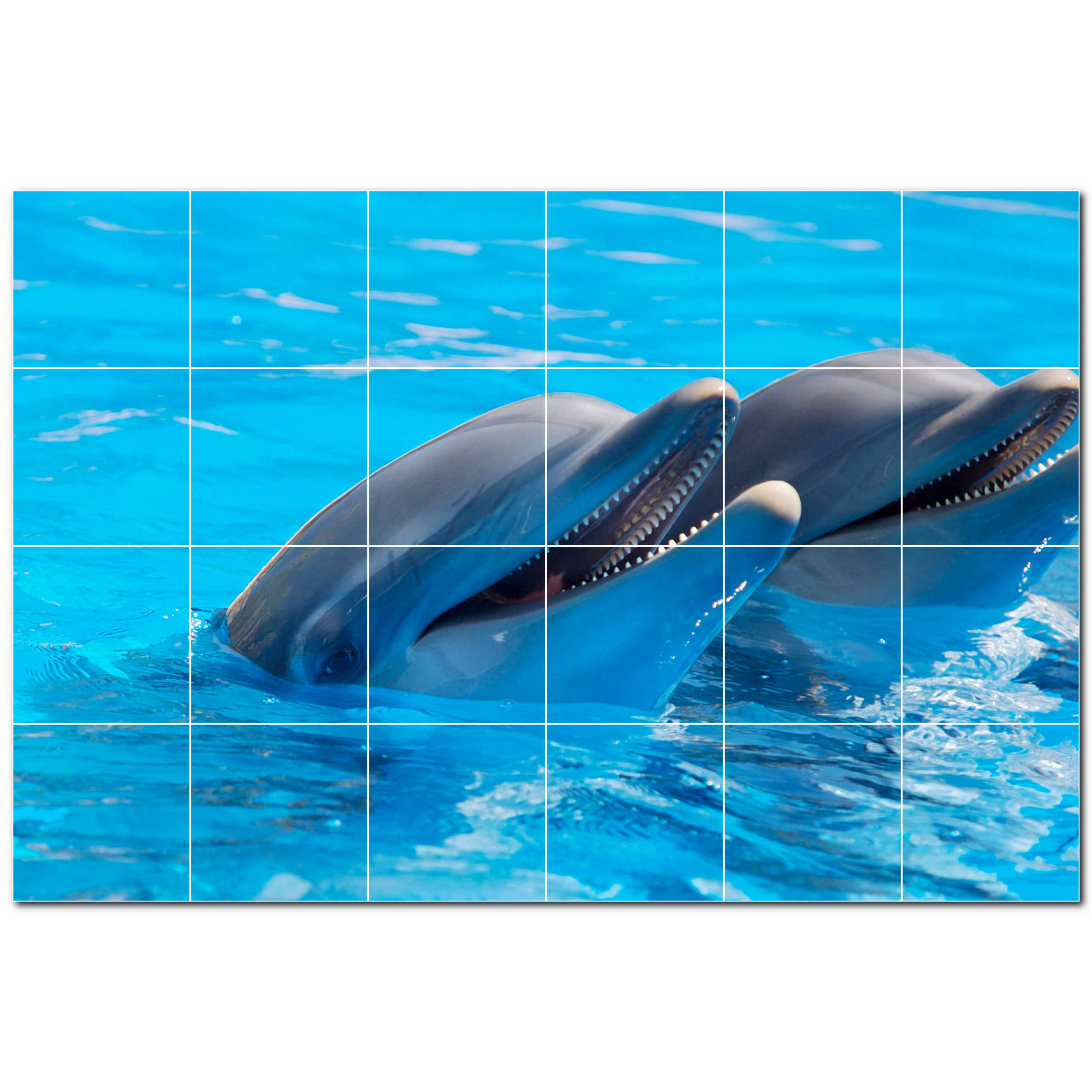 Picture-Tiles.com Dolphin Photo 12'' x 12'' Satin Ceramic Decorative ...